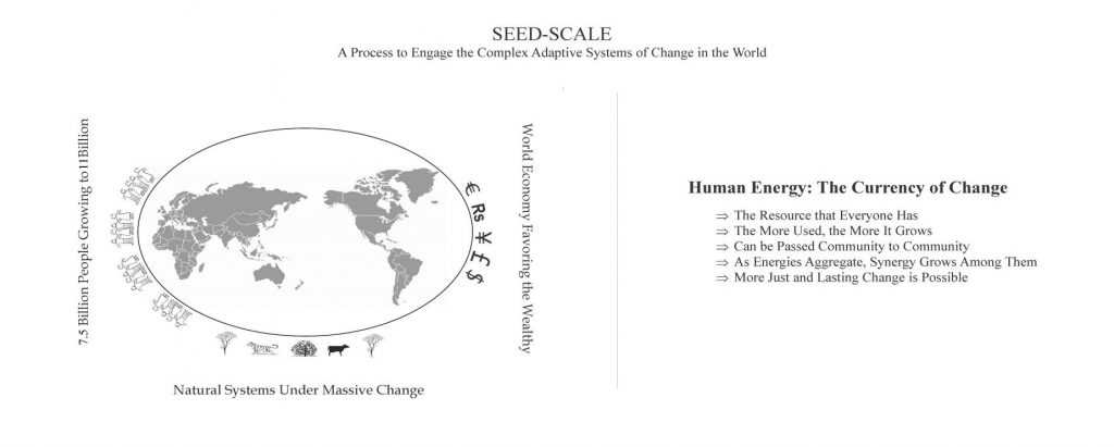 Overview – Seed Scale