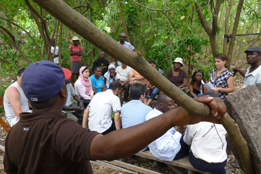 Overview – Seed Scale