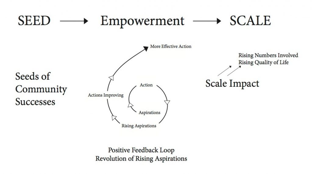 Overview – Seed Scale
