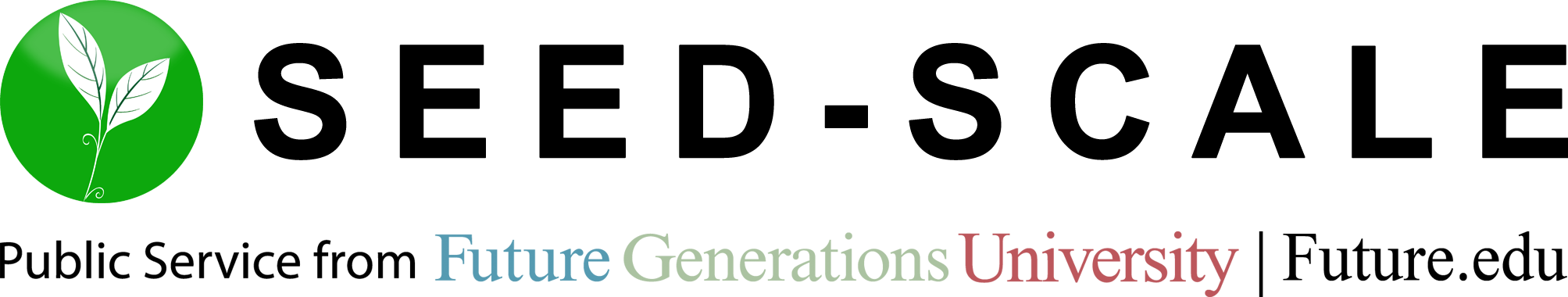 Overview – Seed Scale